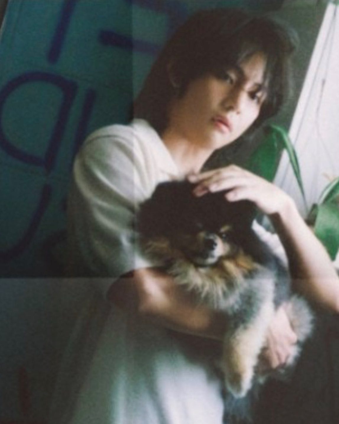 BTS Community Post - V’s solo album “Layover” will be released Friday ...