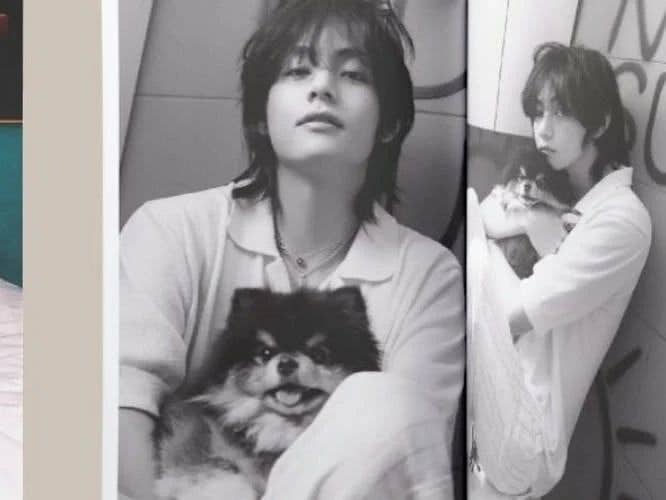 BTS Community Posts - KTH1 its Layover ️🥳... V solo album "LAYOVER ...