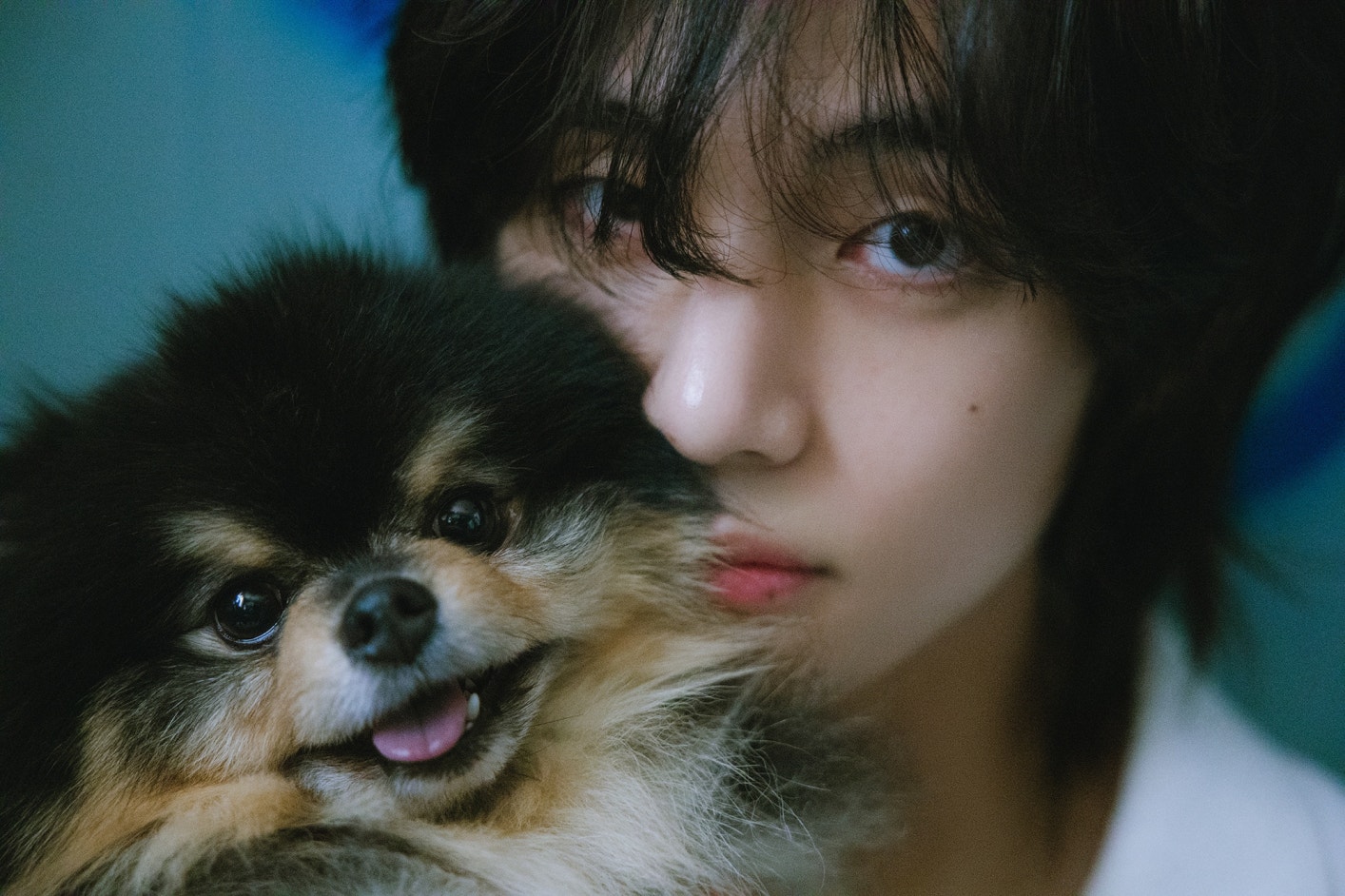 BTS Community Posts - テテ...🥰 たくさん写真ありがとう🫶 たくさんの写真の中でこのテテ&ヨンタンが 一番好き💓 ...