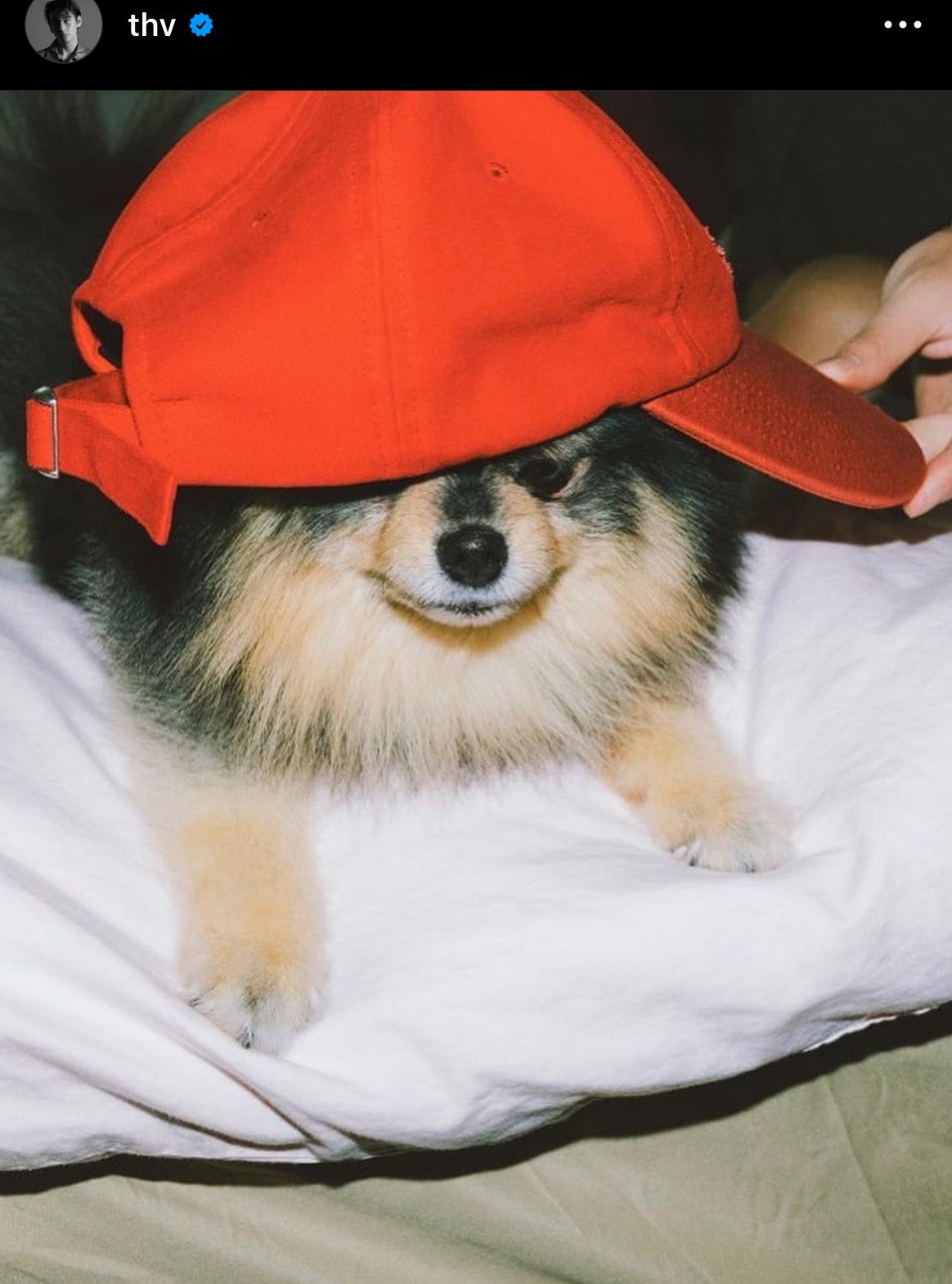 BTS Community Posts - Taehyung Oppa is he Our Tannie in this pic ?? or ...