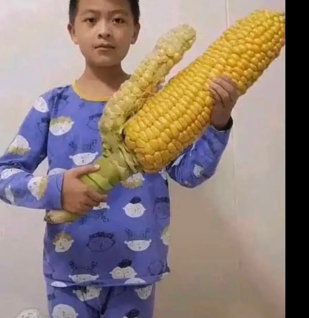 SEVENTEEN Community Posts - 睡觉了家人们