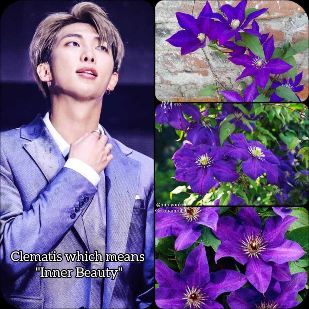 BTS Community Posts - BTS Birth Flower🌷🌼🌻😊💜