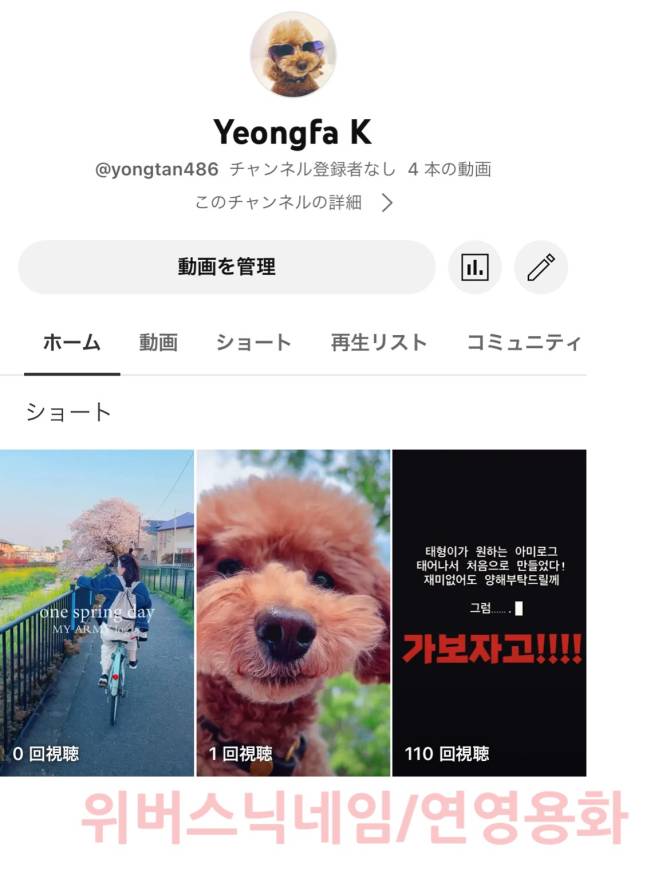 Bts 커뮤니티 포스트 어느 봄날행복한 시간 슈스 김연탄님 우리집 강아지 방태랑 친구해줘 Myarmylog