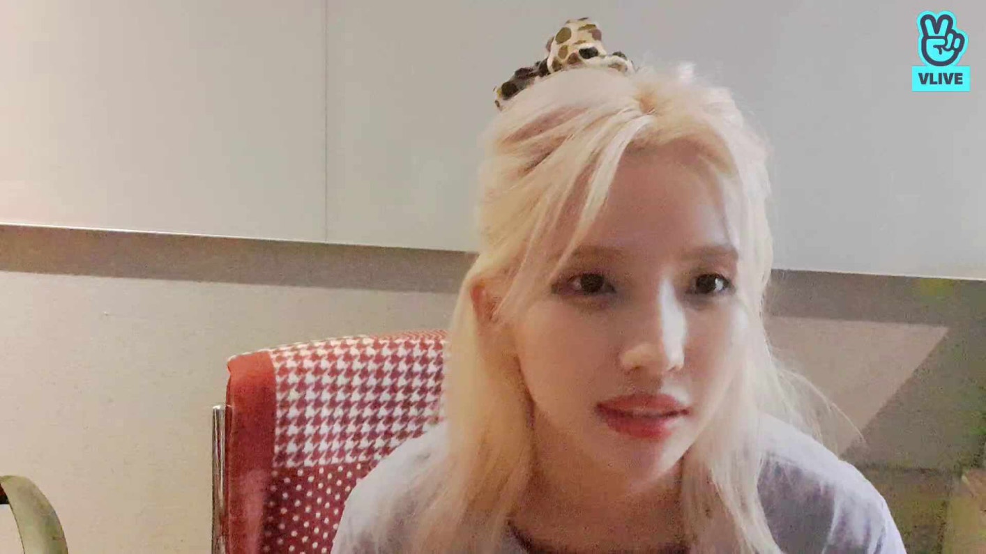 🥳Windy is here🥳