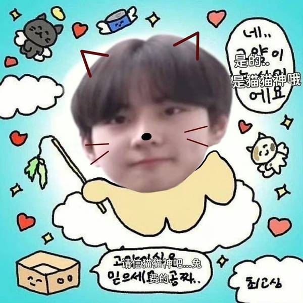 Enhypen Community Post 祯元真是太可爱了！！！！！💗🐱💗🐱💗💗💗💗