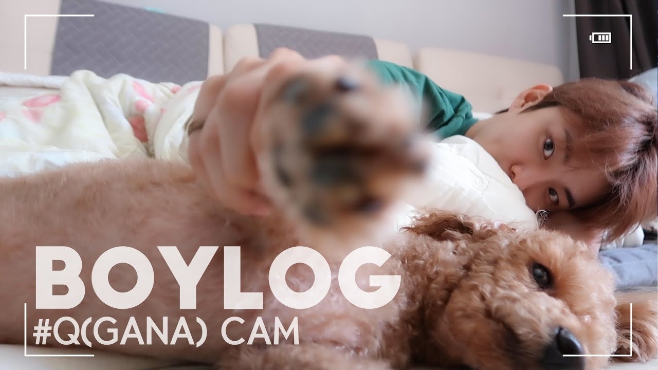 [BOYLOG] Q(GANA) Cam | 우리집 가나를 소개합니다
