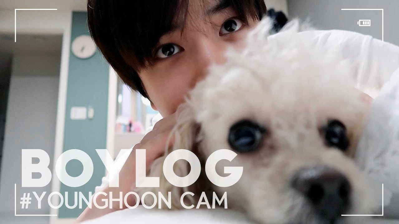 Multimedia de THE BOYZ de Weverse - [BOYLOG] YOUNGHOON Cam｜보리이-로그