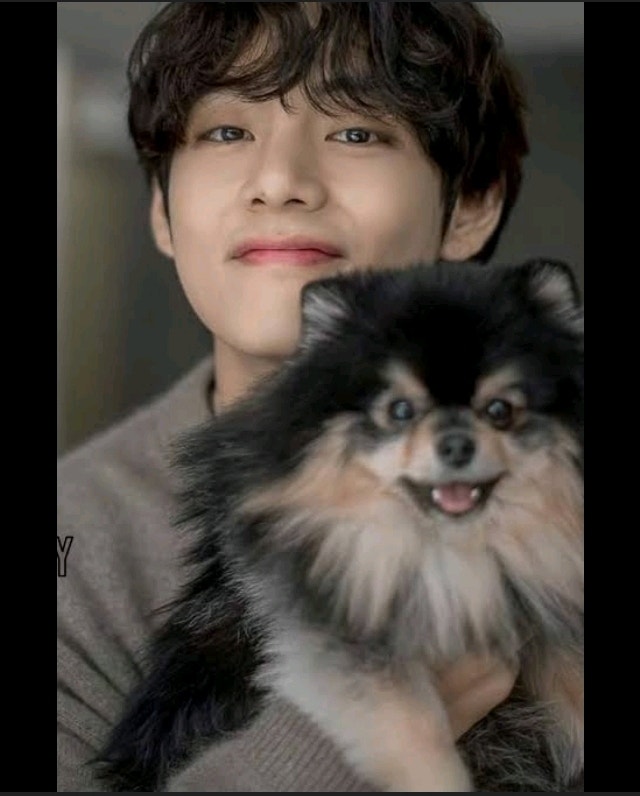 BTS Community Post - WHERE ARE YOU TANNIE AND V OPPA??💜💜💜💜💜💜💜💜💜💜🥺😘😘🥰🥰WE ...