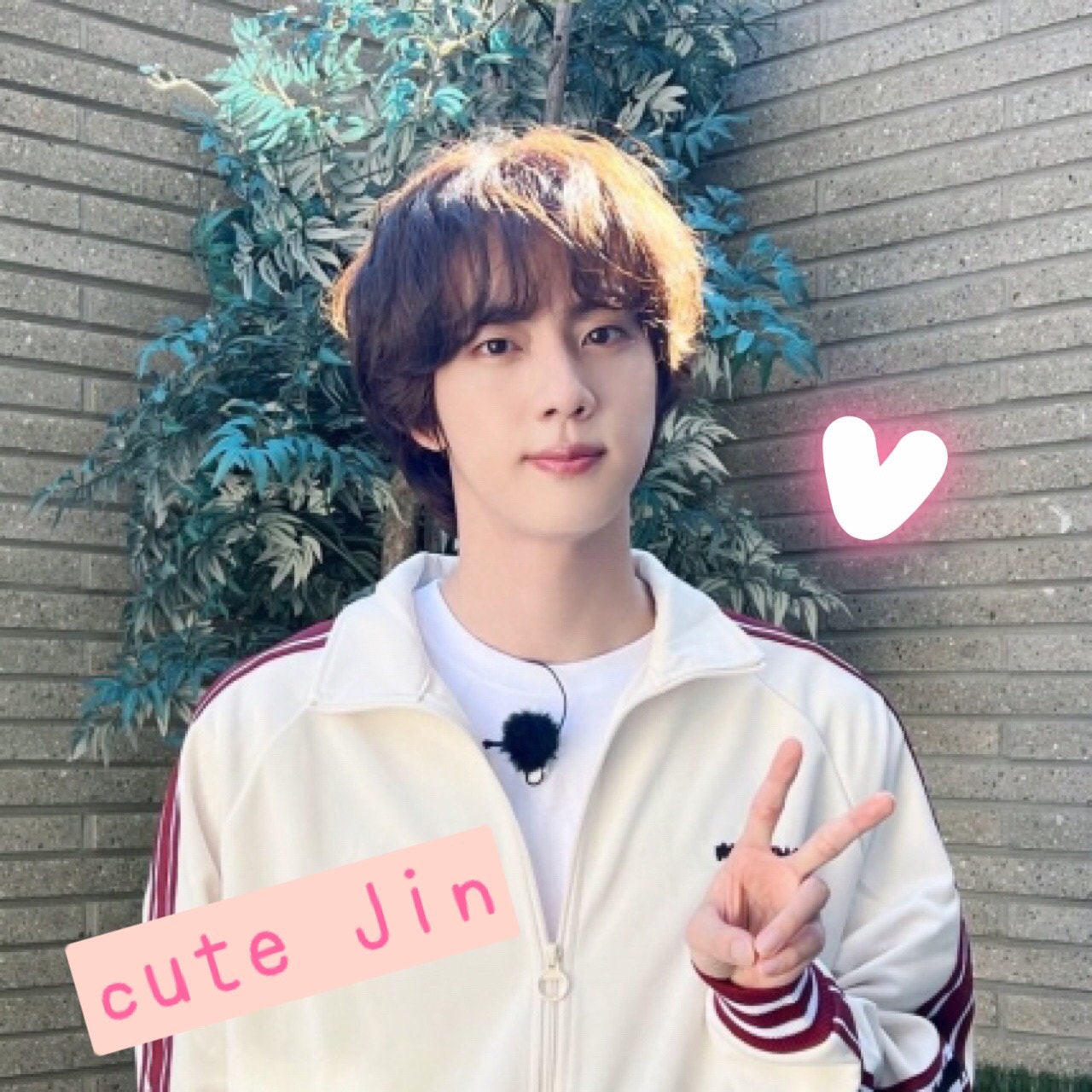 BTS Community Post - Jinくん 🐹 寒い日が続きます⛄️ ️ なるべくあたたかい服を着て あたたかい食べものを食べて 体をいちばん大切にね 아미はいつでもあなたを応援して ...