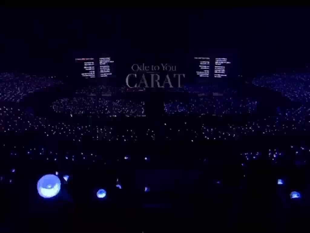 SEVENTEEN Community Posts - 克拉们生日快乐 ️ Happy CARAT Day ️ CARAT 생일 축하합니다 ...