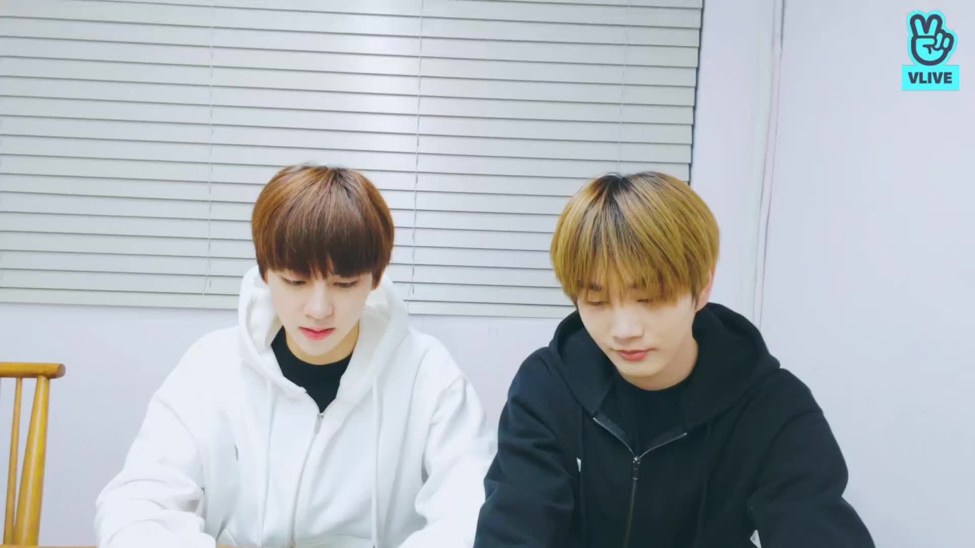 Shin Chan and Shiro's First V LIVE♥