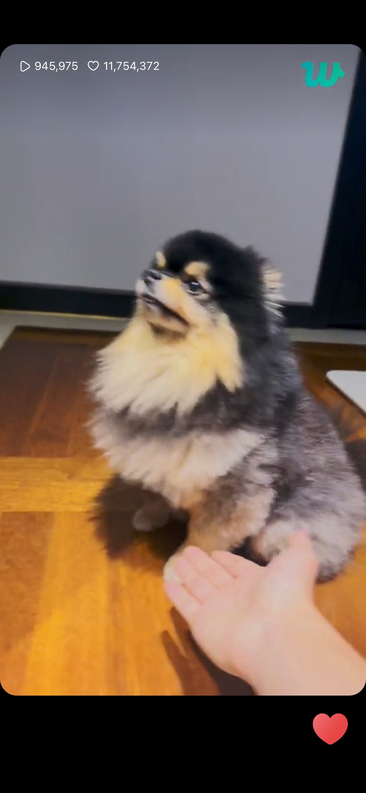 BTS Community Post - Thanks Taehyungaa for coming live with Tannie as ...