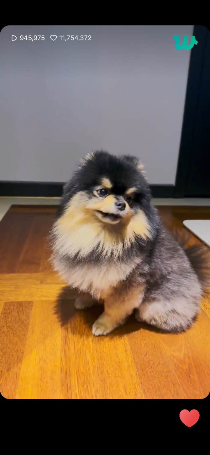 BTS Community Post - Thanks Taehyungaa for coming live with Tannie as ...