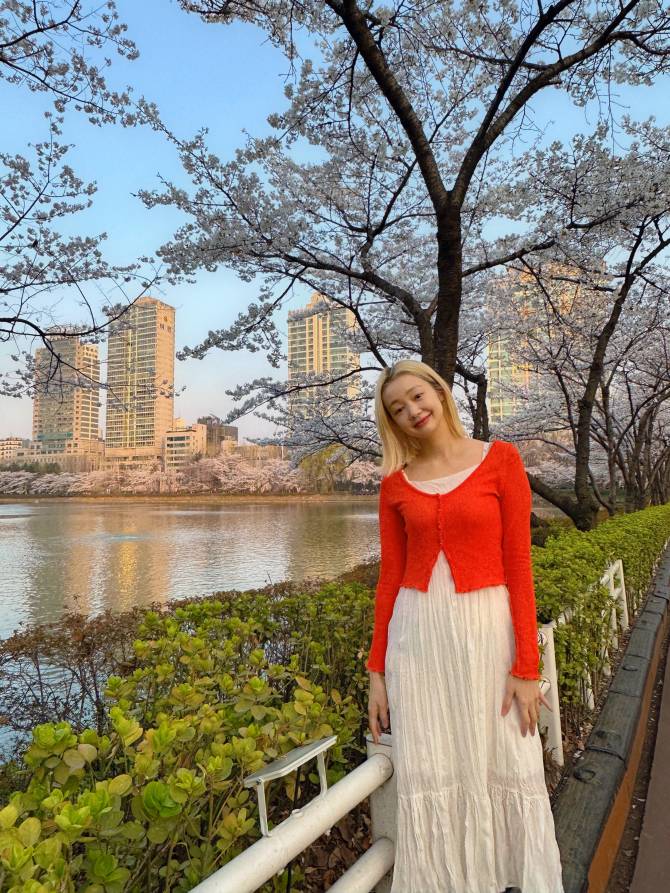 Secret Number Community Posts 일 끝나고 벚꽃구경 하고 왔어요🌸 너무 이쁘다아아ㅏㅏ LÉa