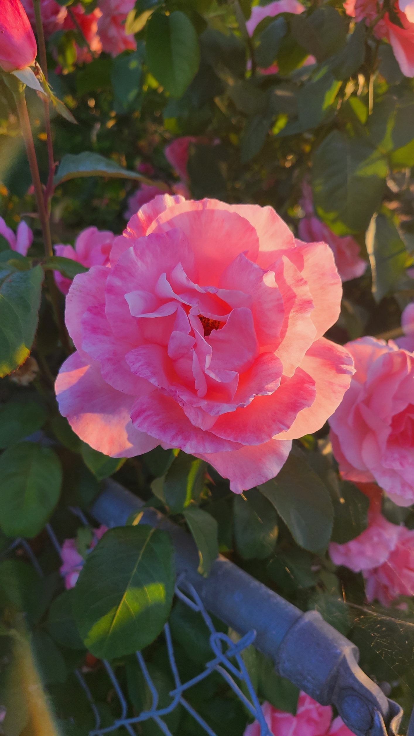 SHINee Community Post - #to_minho MINHO 🐿 ️🔥 ️‍🔥 Are you busy? So, are you starting filming your ...