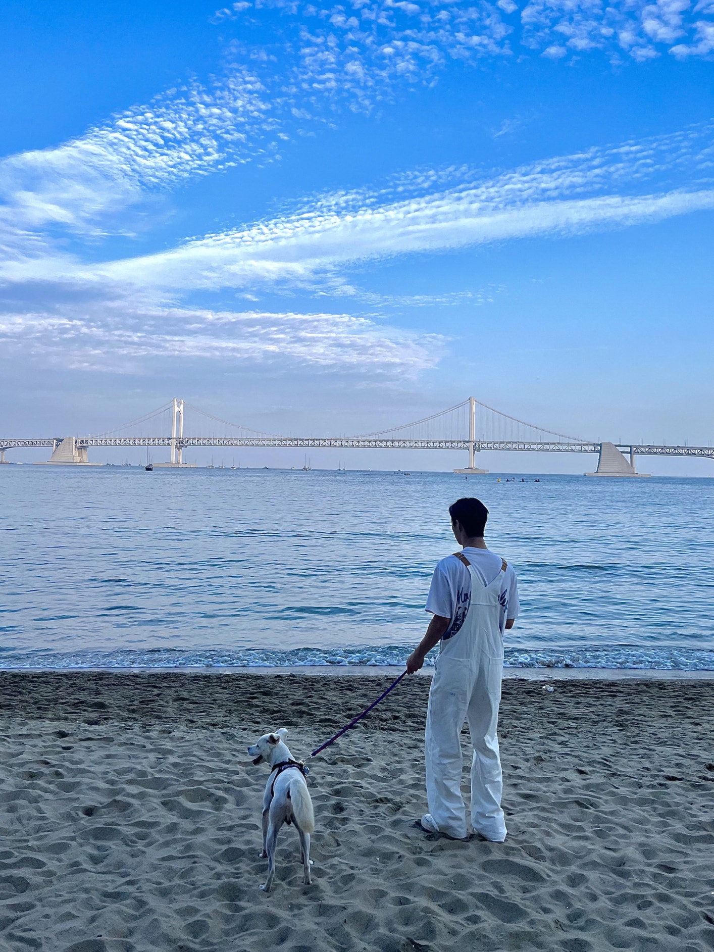 Atbo Community Posts 언제 보트와 함께 올까🚤 ️ Jeongseunghwan