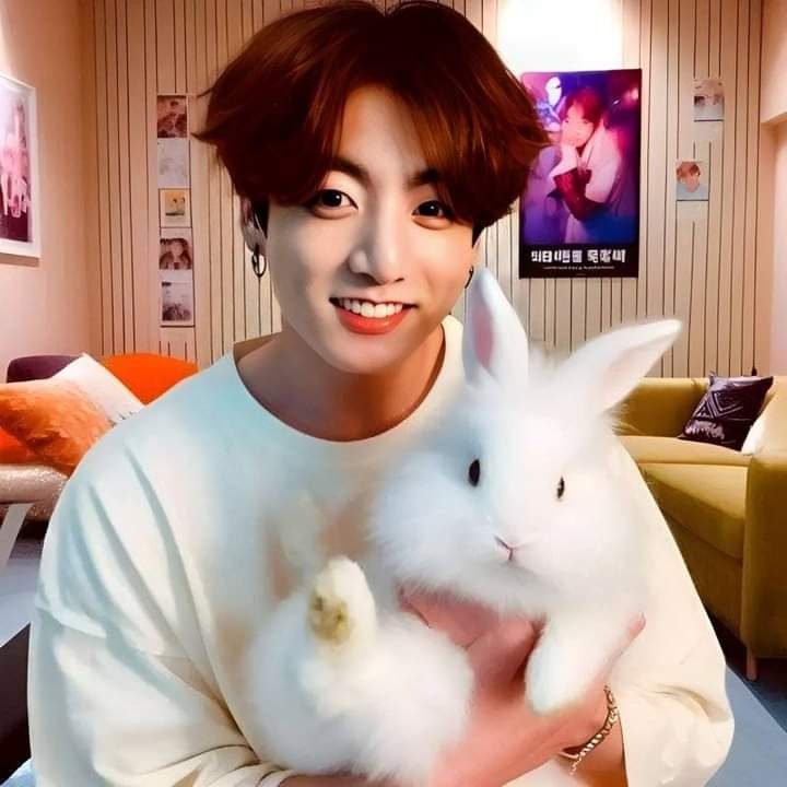 BTS Community Post - BTS with thier own version cute Animal edits!! 🥹 ️ ...