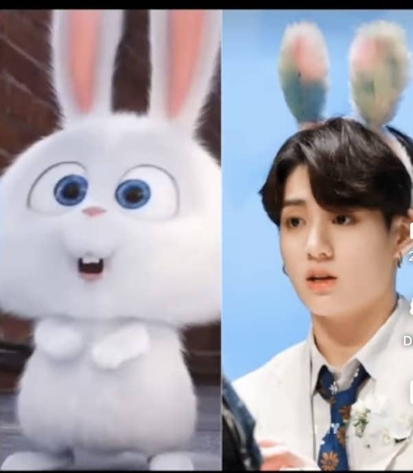 BTS Community Posts - junkook being a rabbit