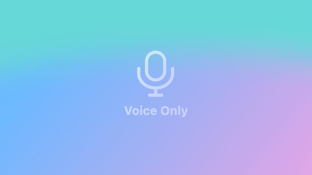 디노의 Voice only