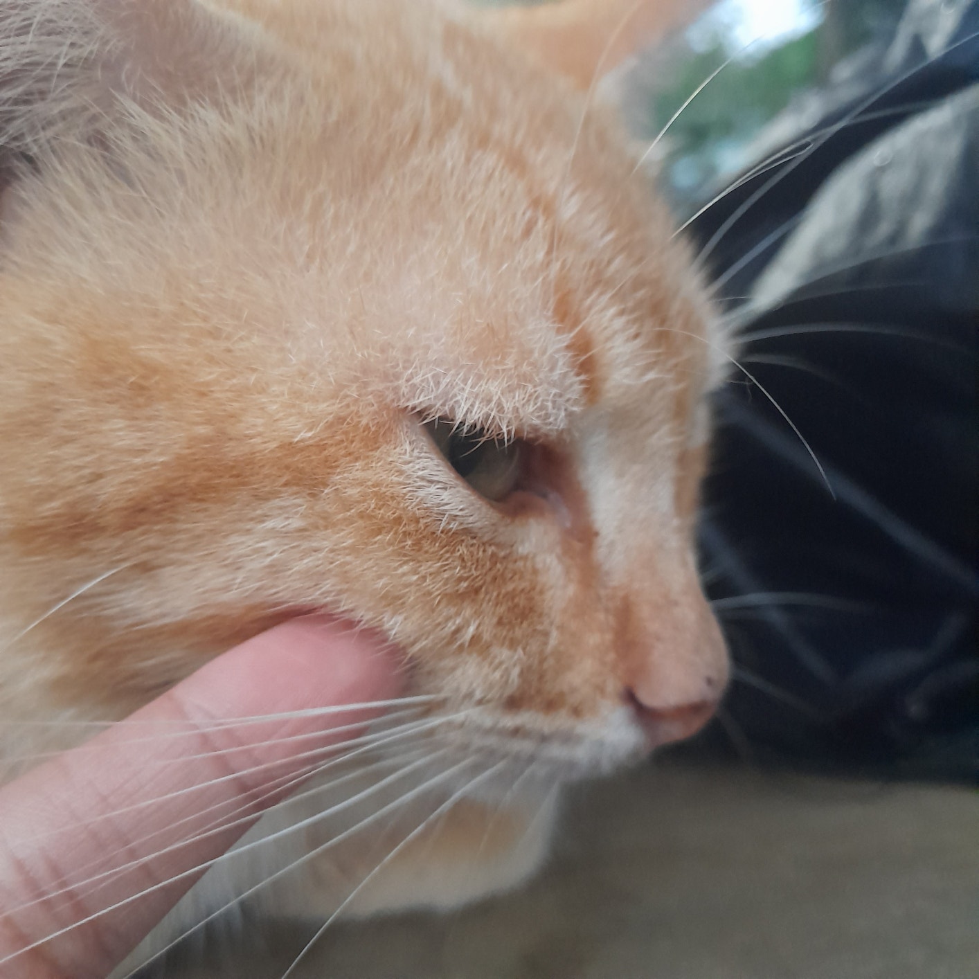 ENHYPEN Community Post - can I poke your cheek?