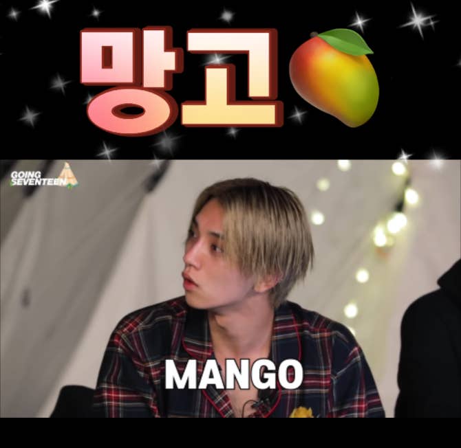 Seventeen Community Post 학업에 미친 캐럿이 5분만에 뚝딱 만든 5초스토리