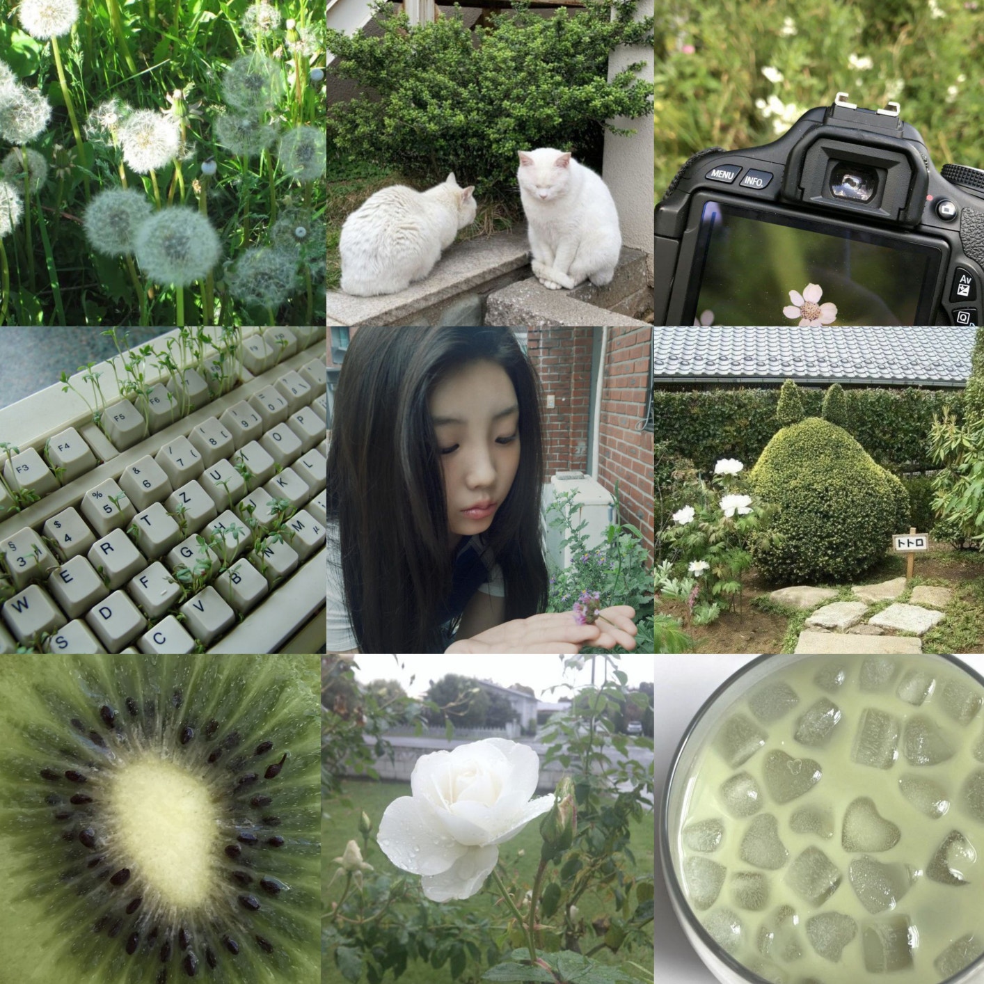 ILLIT Community Post - wonhee aesthetic 🤍