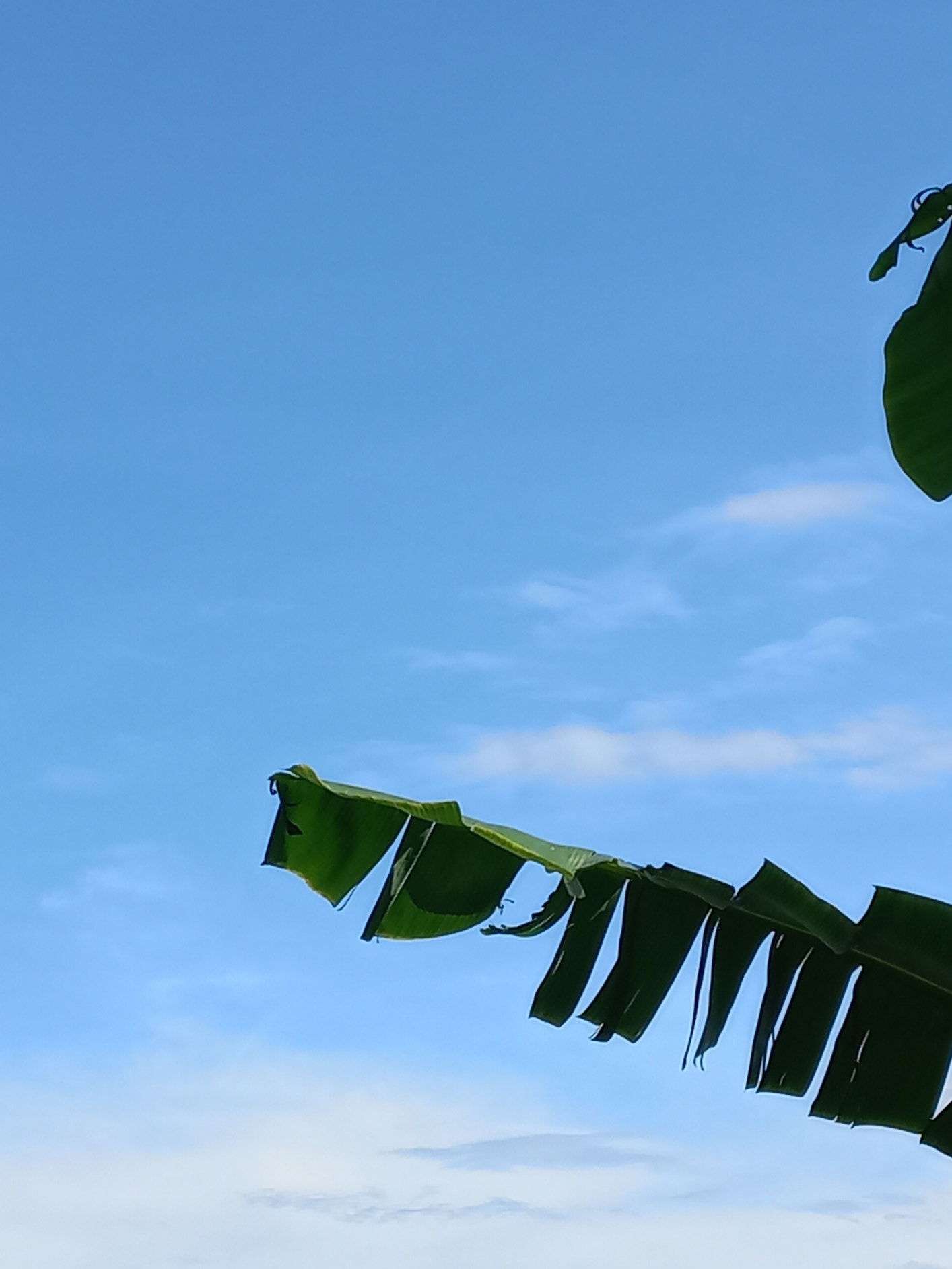 BTS Community Post - Suga's Sky Day 699 ⛅️ Today the sky is very lovely ...