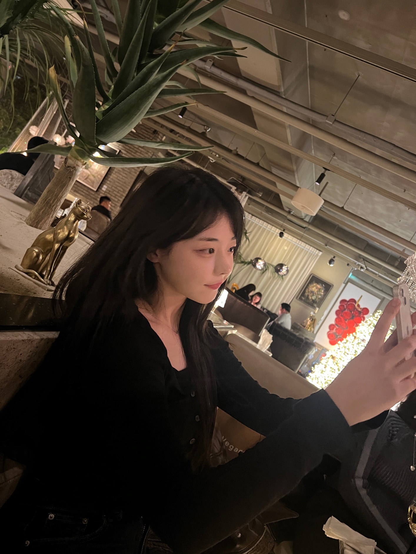 Qwer Community Post 안녕 바위게 다들 뭐하고 계신가요 저는 오랜만에 본가에 와서 고양이를 놀아주다가