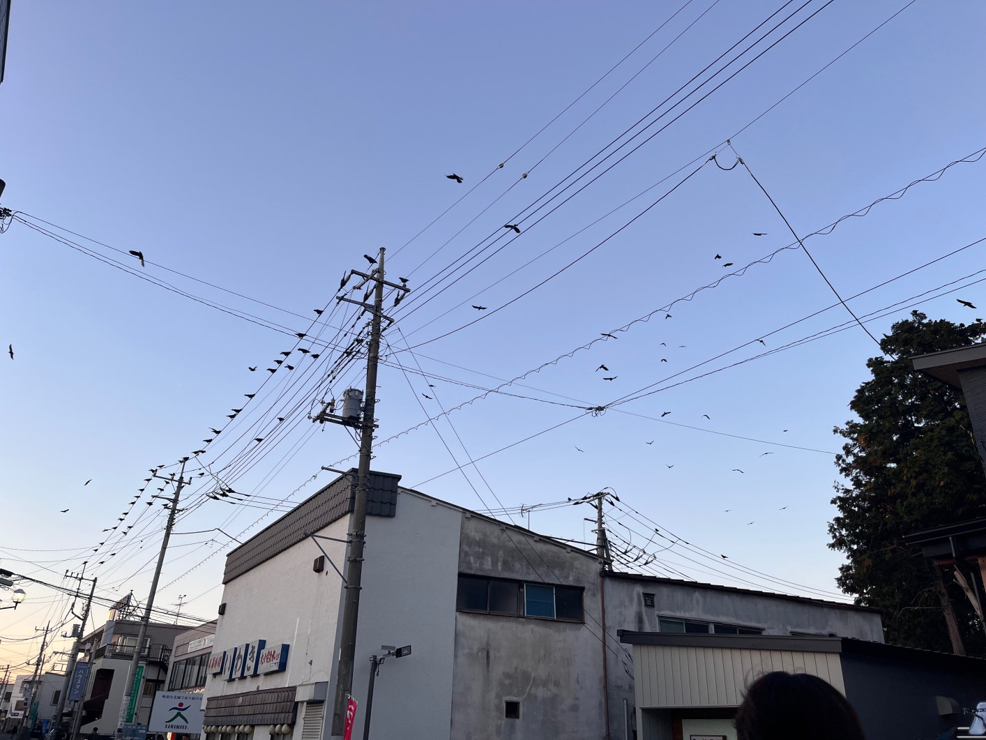 Seventeen Community Post 오빠 나 실연당했어 전 남친이 원하는 걸 얻지 못하고 영원히 외로워졌으면 좋겠어