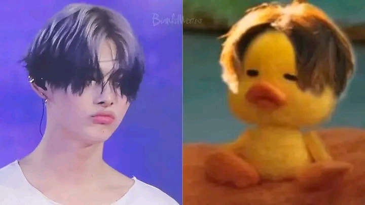 ENHYPEN Community Posts - 🐥 i will just acknowledge that I am a duck 🐥 ...
