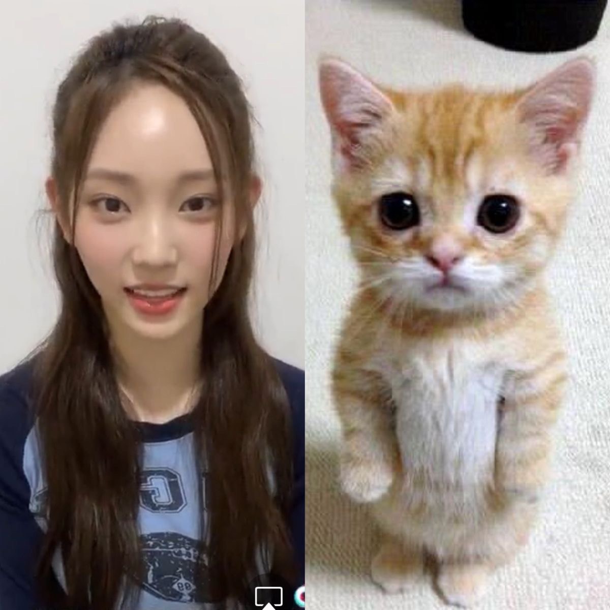 ILLIT Community Post - I bet you wont find the difference 🤭 hold on I ...