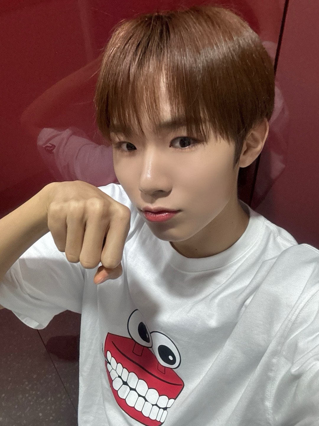 WHIB Community Post - 강아지?? 고양이?? - WONJUN