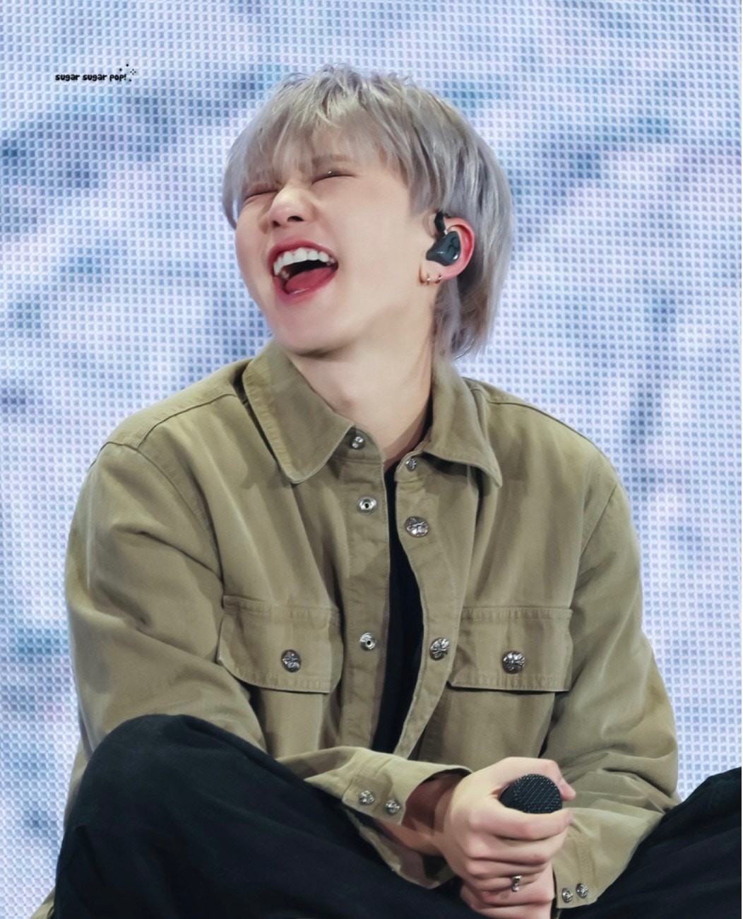 Seventeen Community Post 호시야이제 너도 햄찌라는것을 인정할때가 되었다