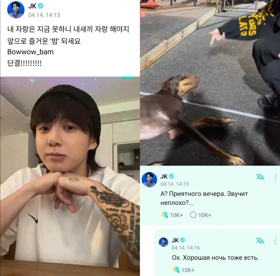 BTS Community Posts - И тебе приятного вечера, Чонгуки, и волшебных снов! Надеюсь они тебе там ...