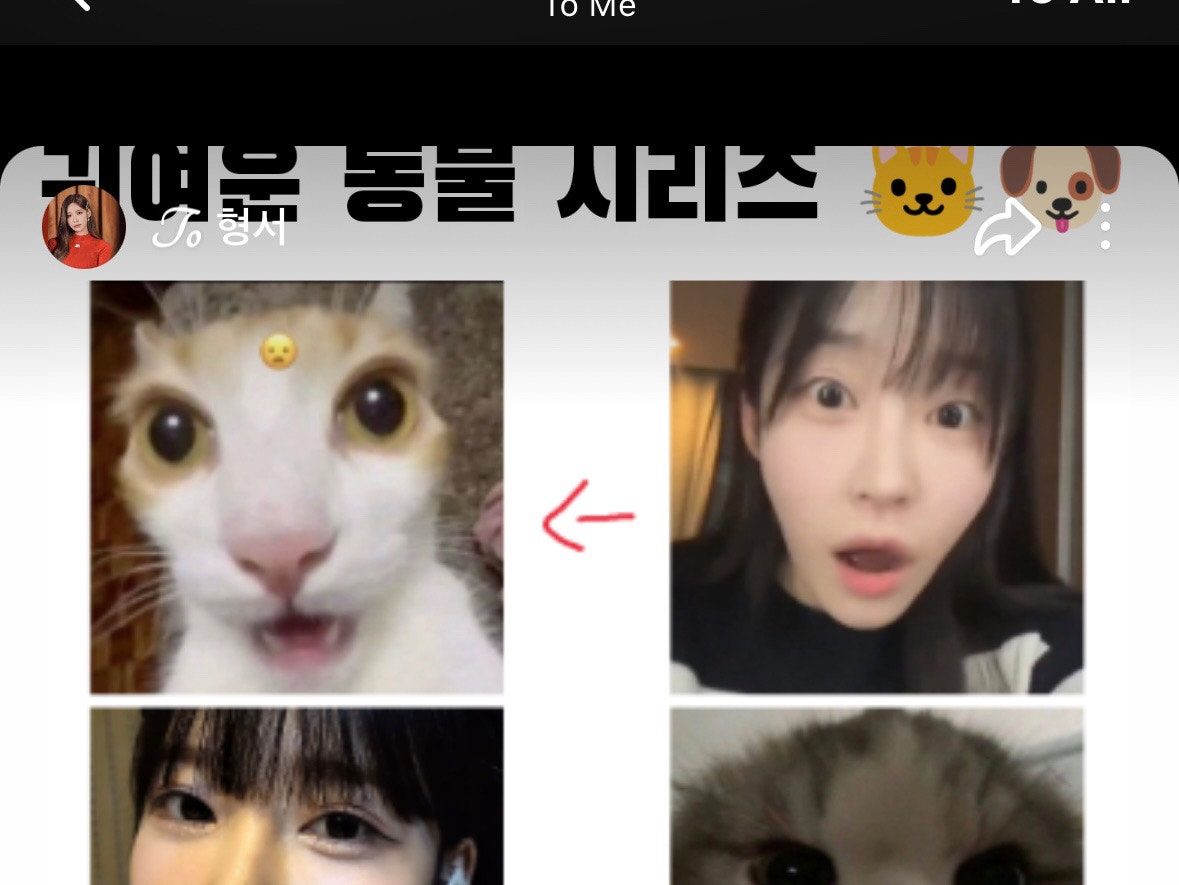 Classy 커뮤니티 포스트 ㅋㅋㅋㅋㅋㅋㅋㅋ닮았낰ㅋㅋ 형서