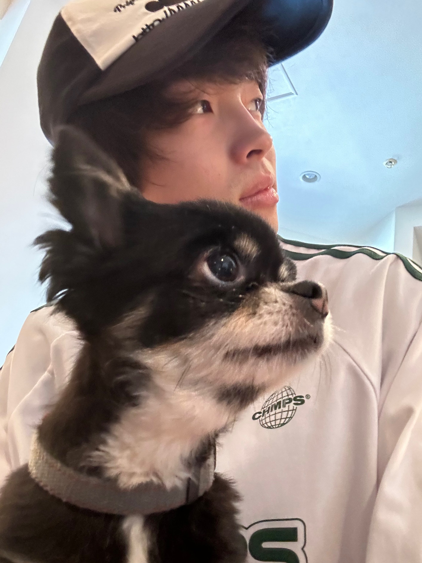 imase Community Post - 🐶 - imase