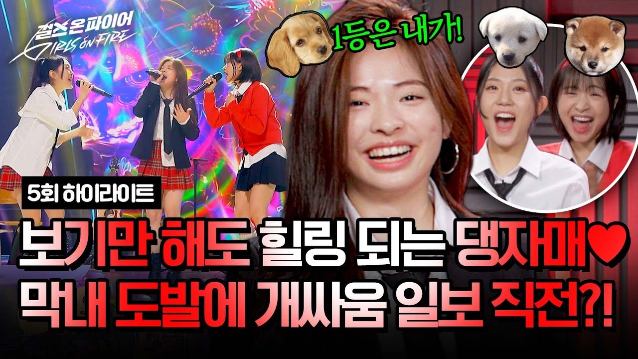 [Highlight] Three puppy sisters are about to have a dog fight!? The ...