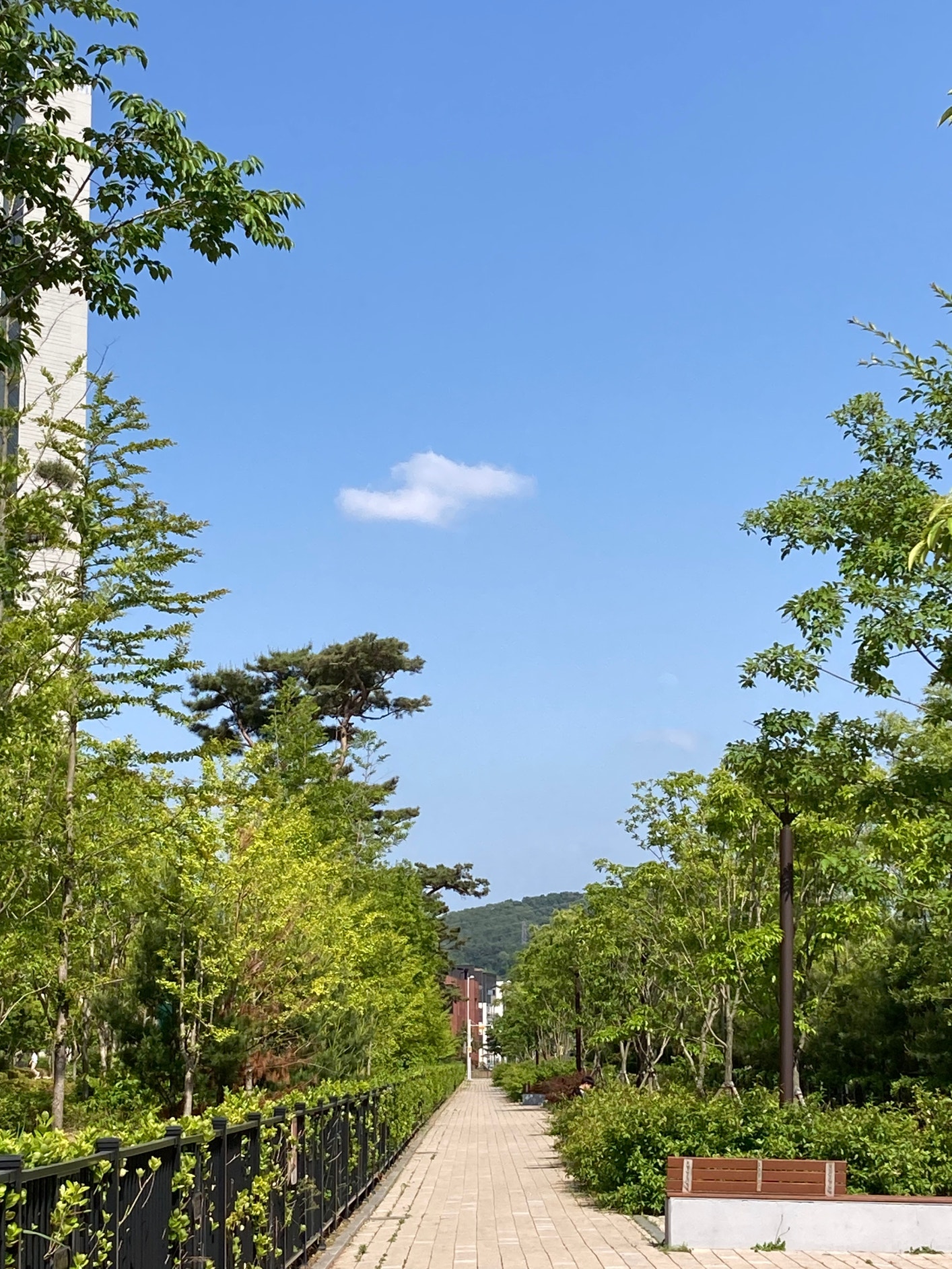 Hwang Min Hyun Community Posts 날이 너무 좋아서 산책나왔어요🍀🌺 조금 더워요🥵🤪😜 점심은 맛있는거