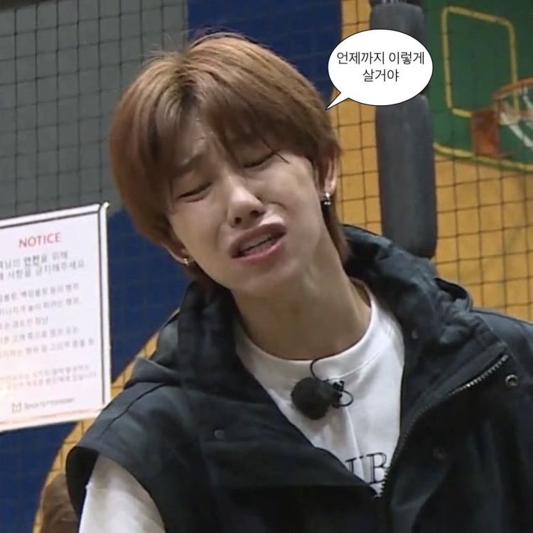Seventeen Community Post 요즘 바쁘게 살아가는 오빠들을 보면서 저도 동기부여를 많이 받고 있어요 이미