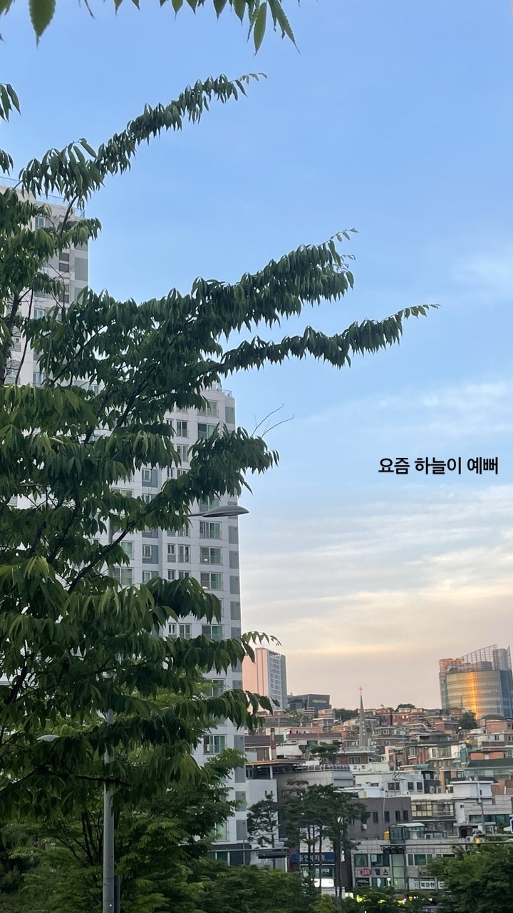 SECRET NUMBER Community Moment - 요즘 하늘이 예뻐