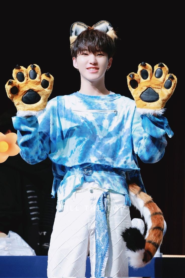 SEVENTEEN Community Post - #happy_hoshi_day🐯 🎉🐯 Happy Birthday, Hoshi ...