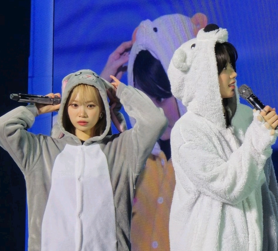 LE SSERAFIM Community Post - is it zuzu or pupu, the thing that fits in ...