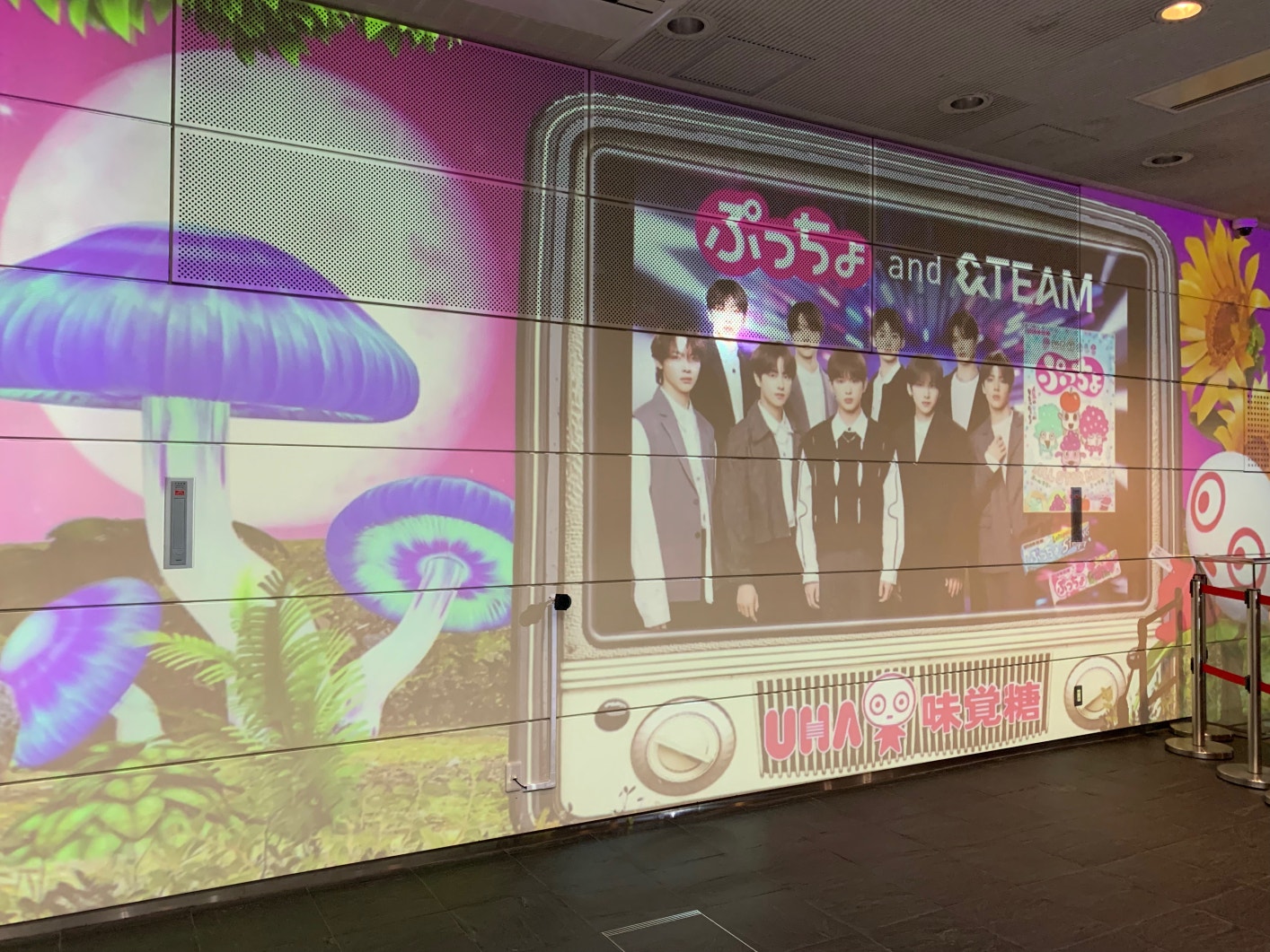 &TEAM Community Posts - FUMA & JO & NICHOLAS 🎂センイルイベントされてます🩷 UHA味覚糖 大阪本社 （※LUNÉさん主催） 6/28(金)~7/9 ...