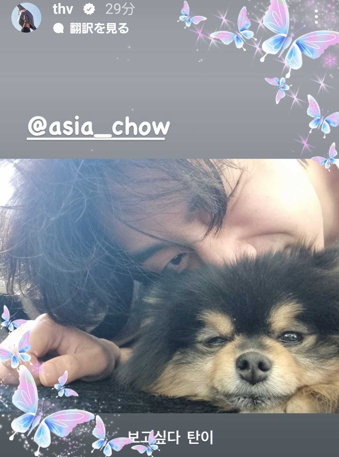 BTS Community Posts - 二日酔いをも 元気にしてくれるテヒョン🧸とヨンタン🐶🍀 胸がすーーーっと軽くなった😭💜 会いたいよ ...