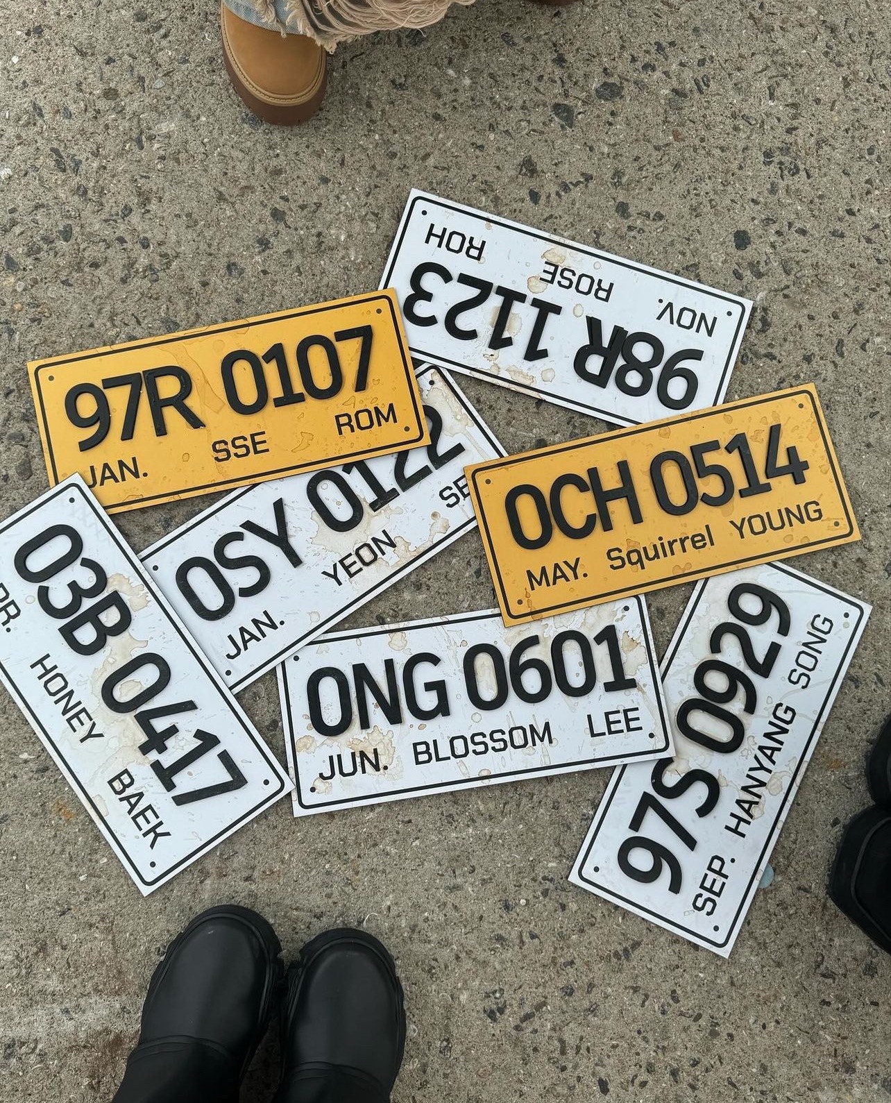 fromis_9 Community Posts - SSE HANYANG ROSE YEON Squirrel BLOSSOM HONEY ...