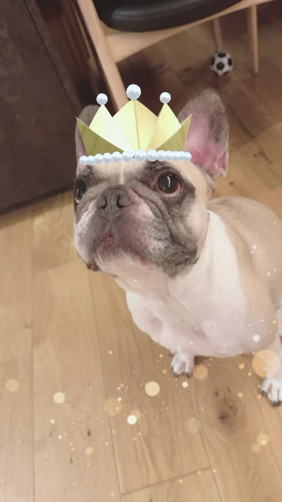 P1Harmony Community Post - Happy birthday baby We lauv you Kinako
