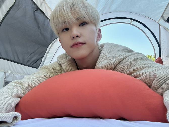Seventeen Community Posts 호랑이보고 힘내세요🐯 Hoshi