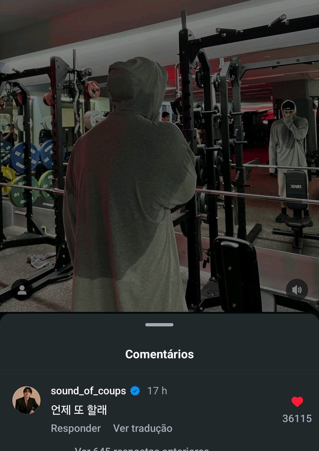 SEVENTEEN Community Post - I want to see the two of them working out ...