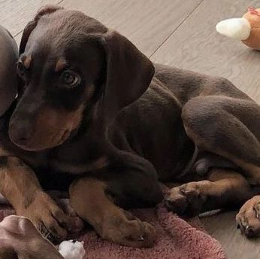 BTS Community Posts - ADVANCE HAPPY BIRTHDAY JEON BAM 🥳🎊🎉 HAPPY ...