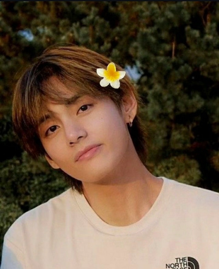 BTS Community Post - Hola 👋 My Love 💜 V 💜🍀🌼 " How Have You Been? Hope ...